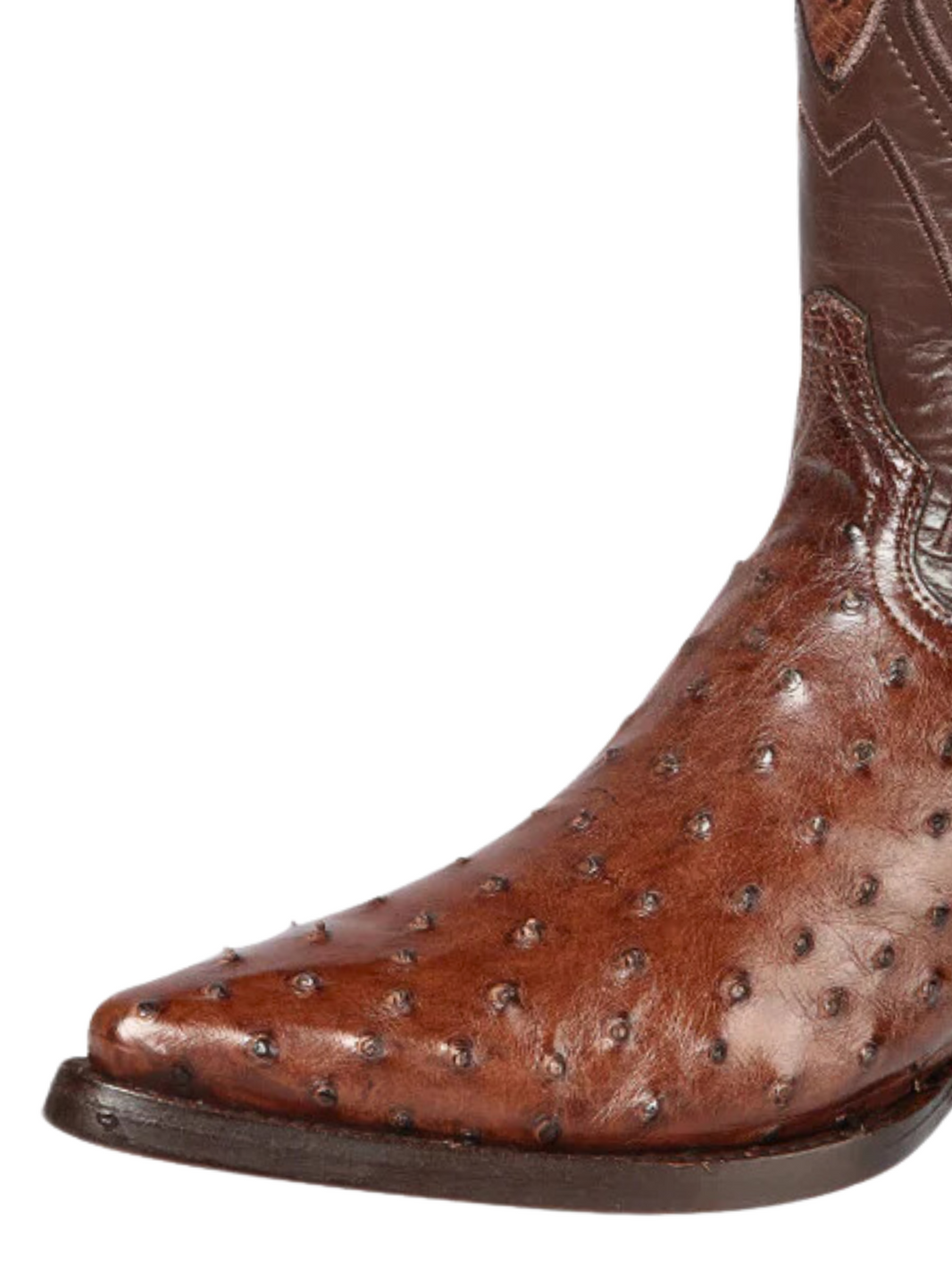 Botas Vaqueras para Hombre | Envío Gratis – Bellash Western